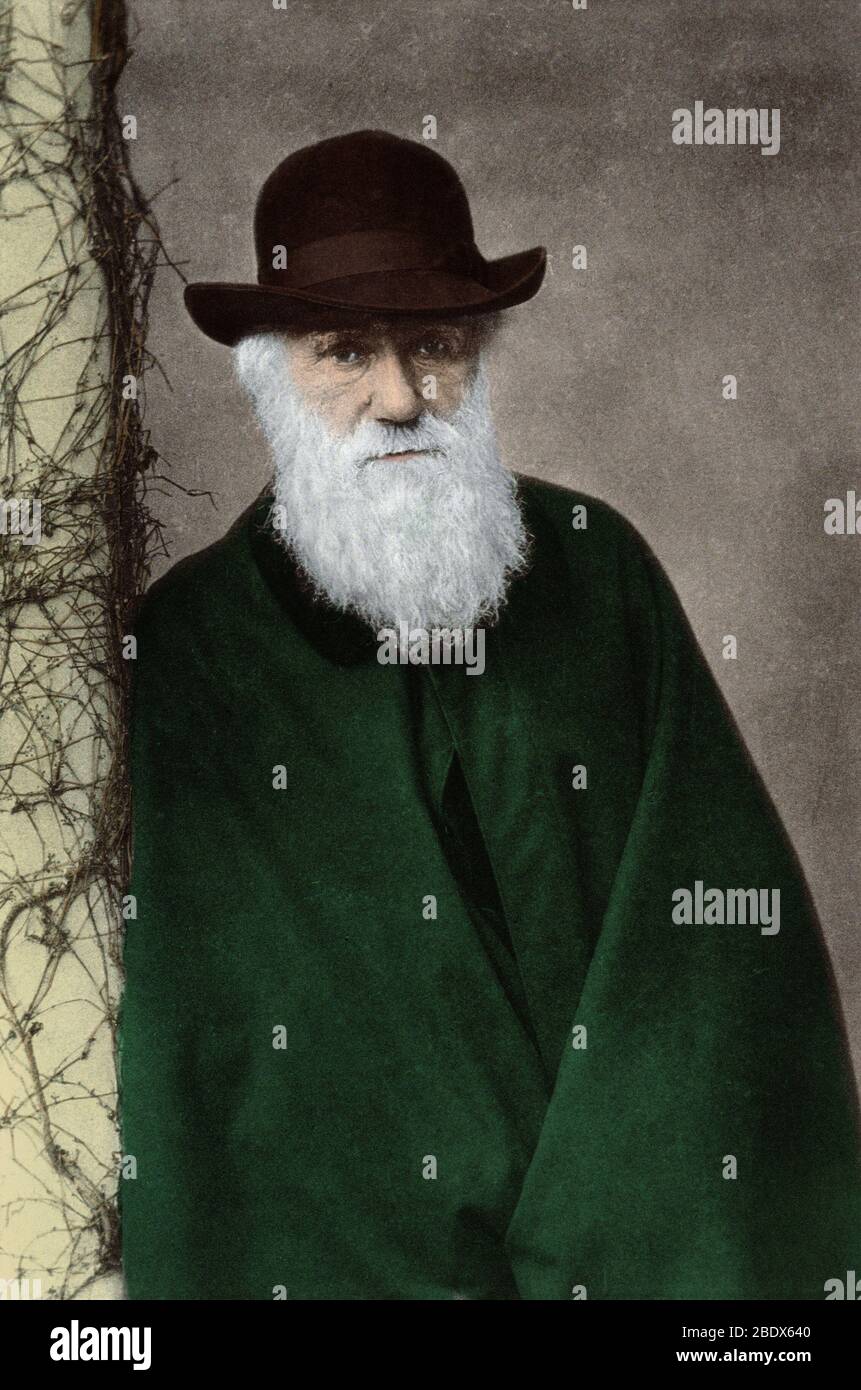 Charles white hi-res stock photography and images - Alamy