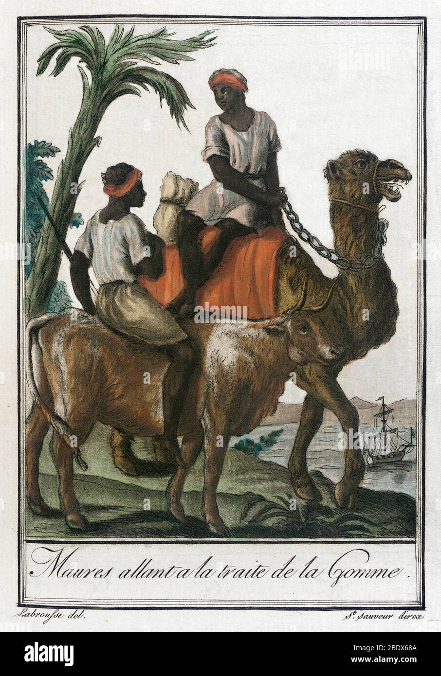 African moors hi-res stock photography and images - Alamy