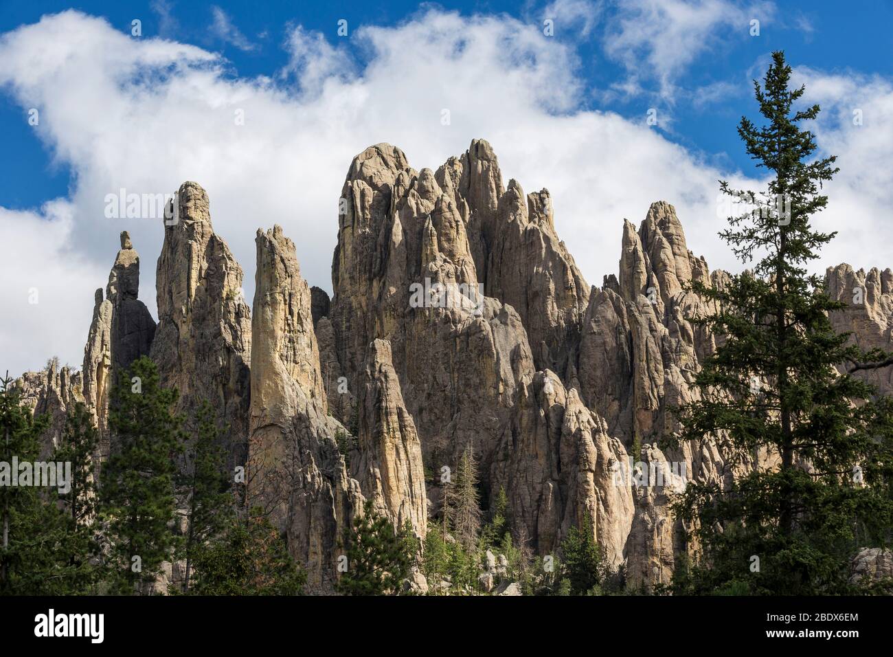 Black Hills Cathedral Spires Scenic Landscape Stock Photo - Alamy