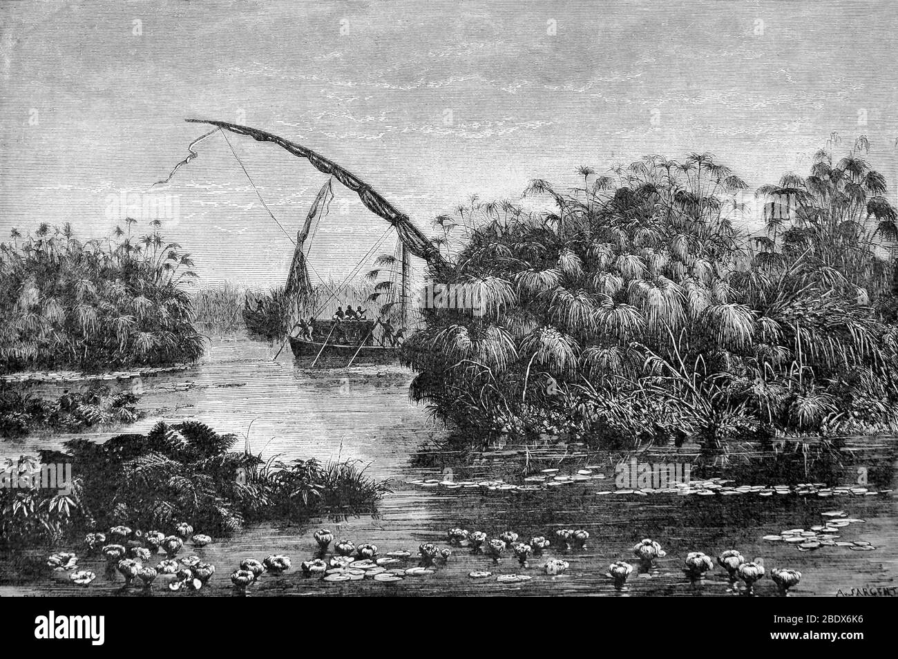 Central Africa, Sudd Swamp, 19th Century Stock Photo - Alamy