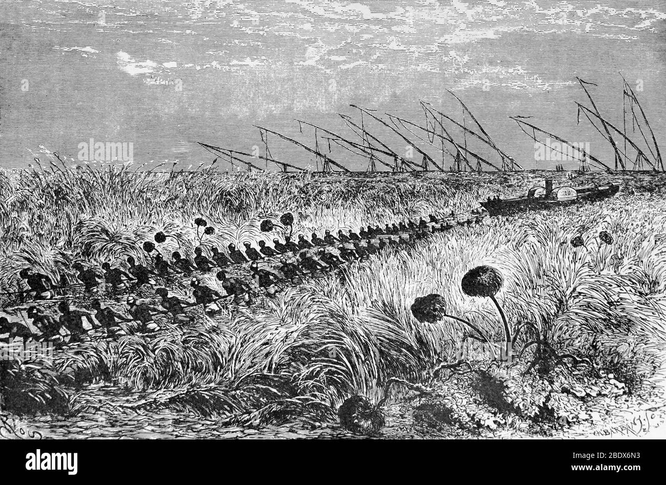 Central Africa, Hauling Steamer, Sudd Swamp, 19th Century Stock Photo ...
