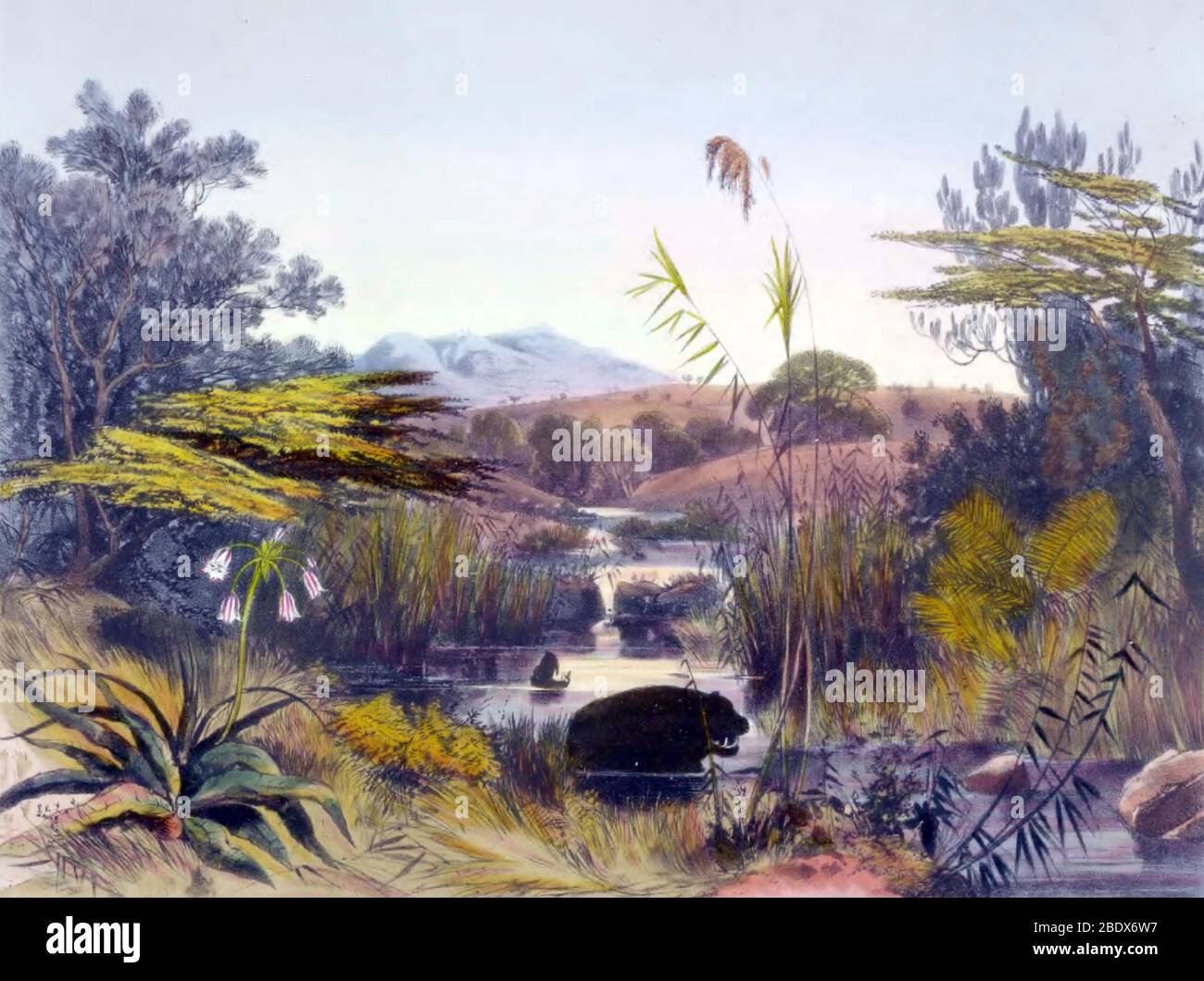 Nonoti river hi-res stock photography and images - Alamy