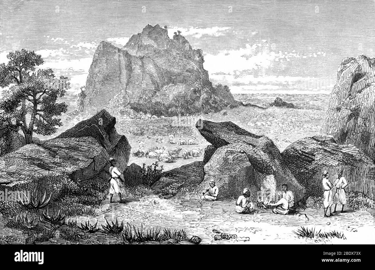 Patiko hi-res stock photography and images - Alamy