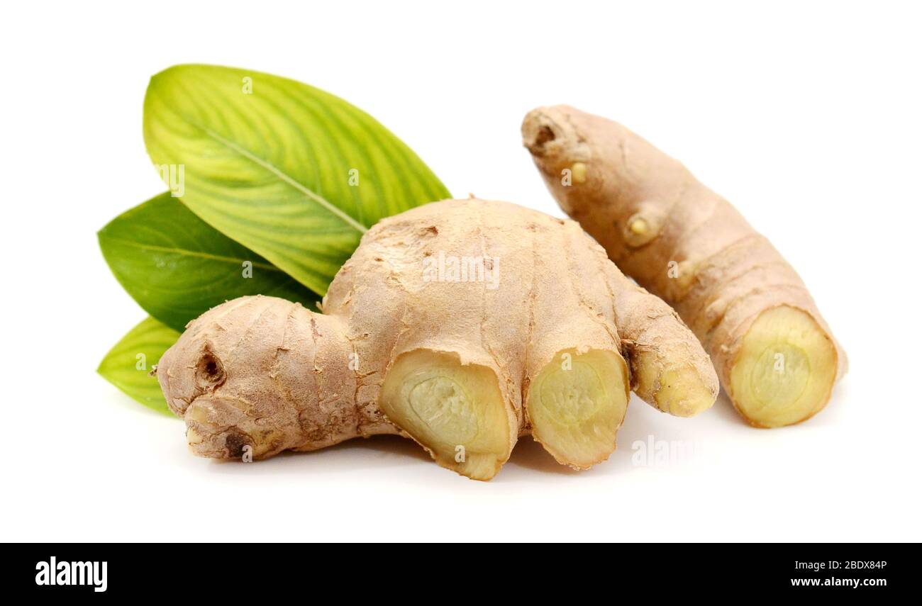 Ginger with leaves isolated on a white background Stock Photo - Alamy