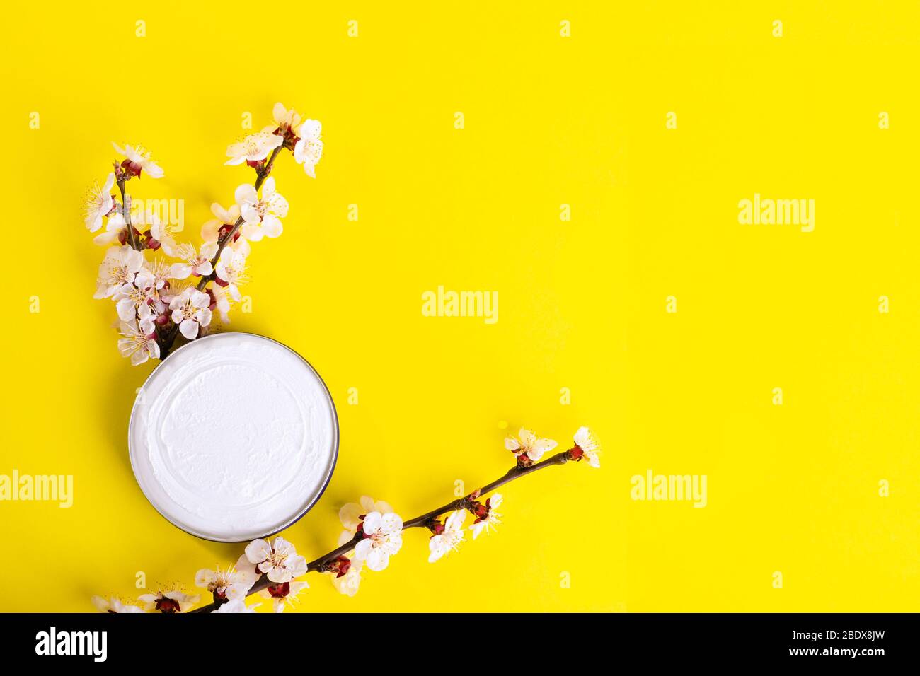 Cosmetic cream in jar and twig of blossoming tree with pink flowers on ...