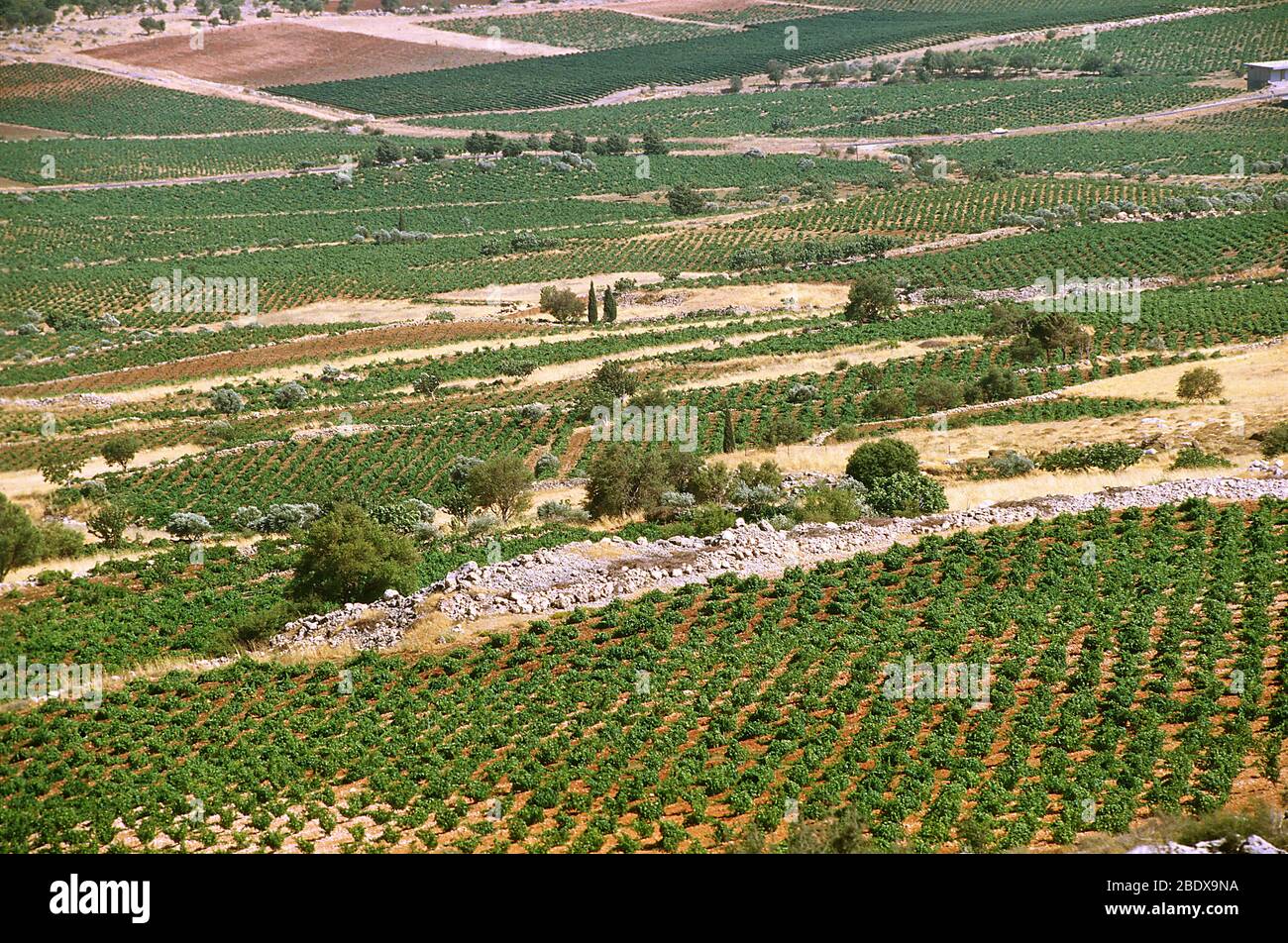 Kefraya winery hi-res stock photography and images - Alamy