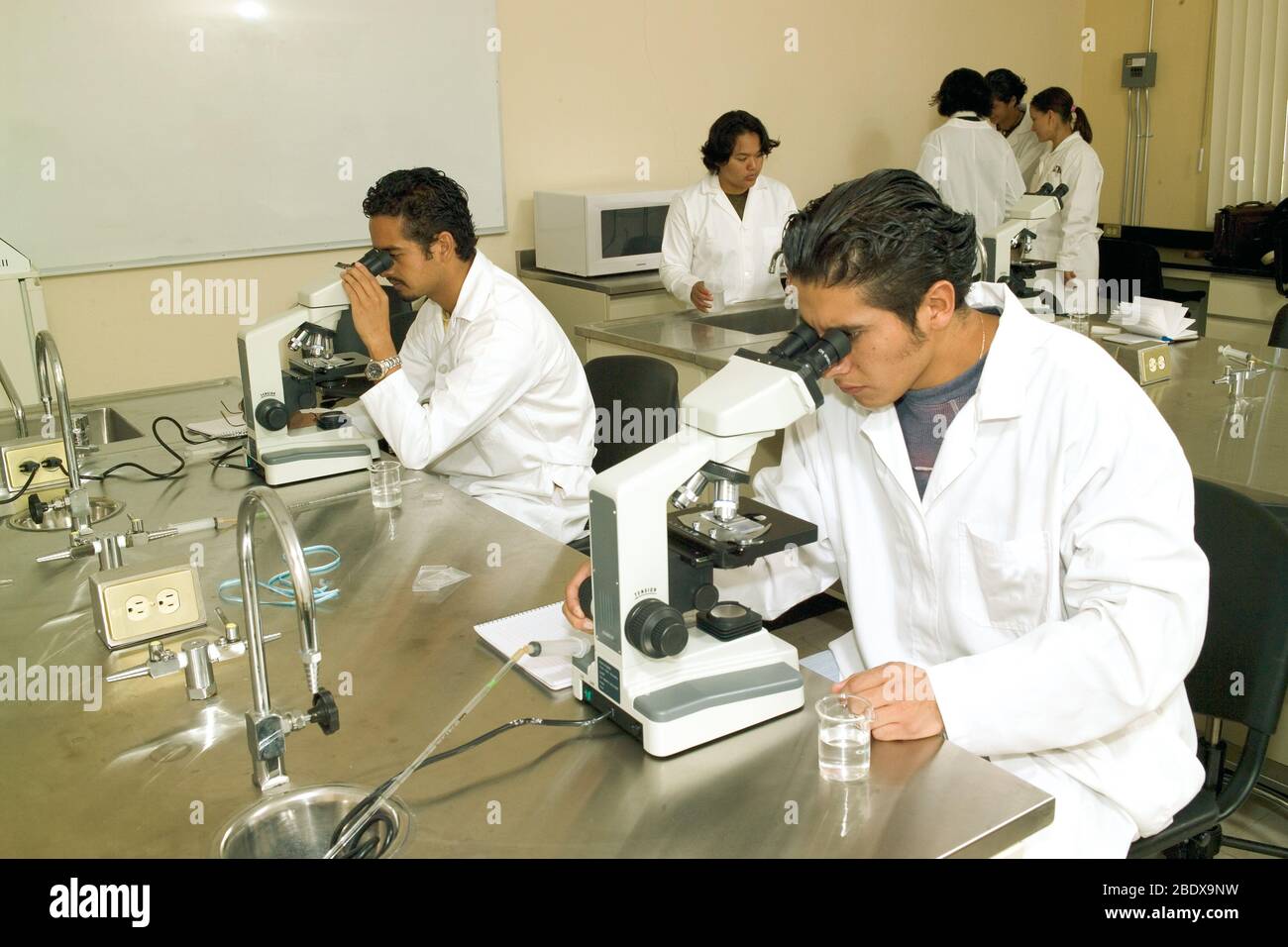 Biology Class, Mexico Stock Photo - Alamy