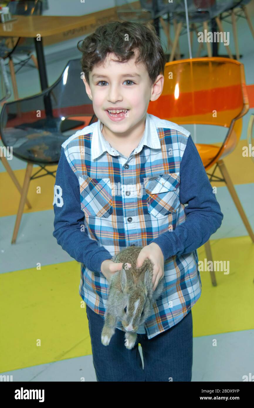 The child is holding a rabbit . Happy young girl holding rabbit ...
