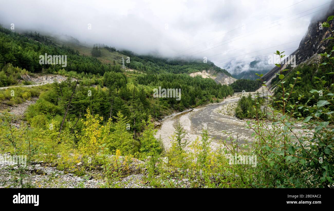 On the shore of a mountain river, stones, hummocks and forest. sunny ...
