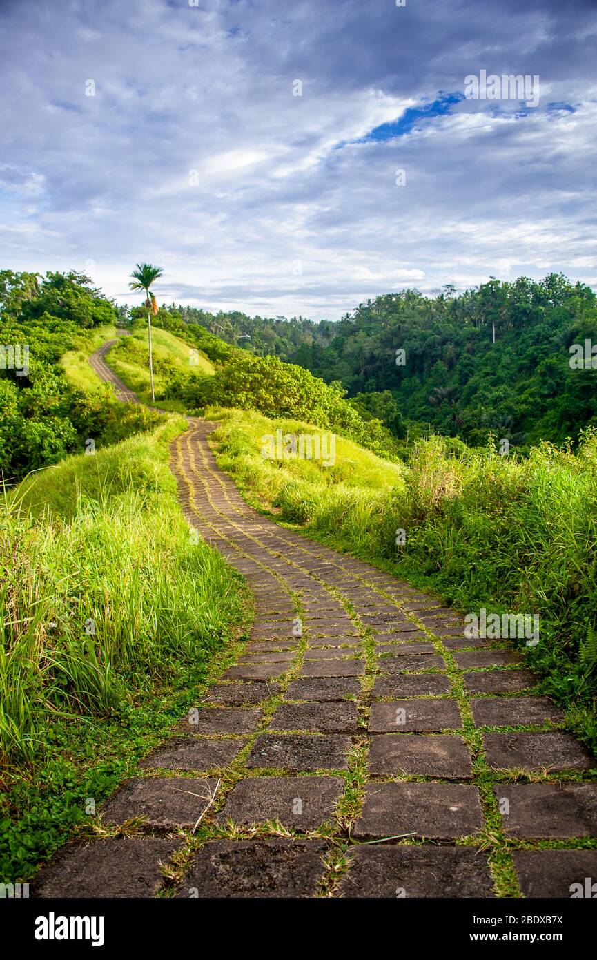 Campuhan Ridge Walk, Ubud, Bali, Indonesia. Scenic nature trail, lush ...