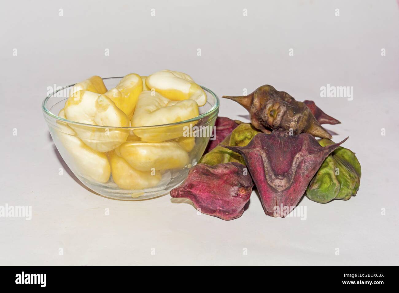 Devil Nut High Resolution Stock Photography and Images - Alamy