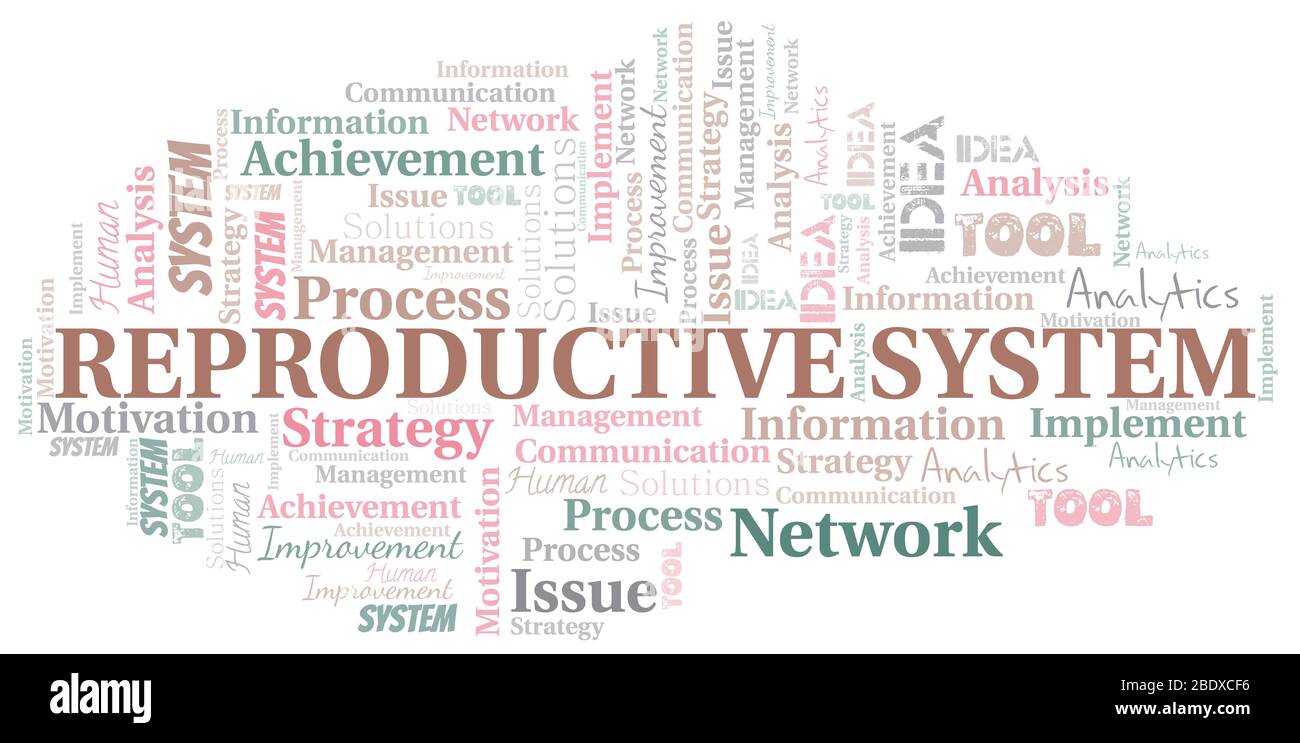Reproductive System typography vector word cloud. Wordcloud collage ...