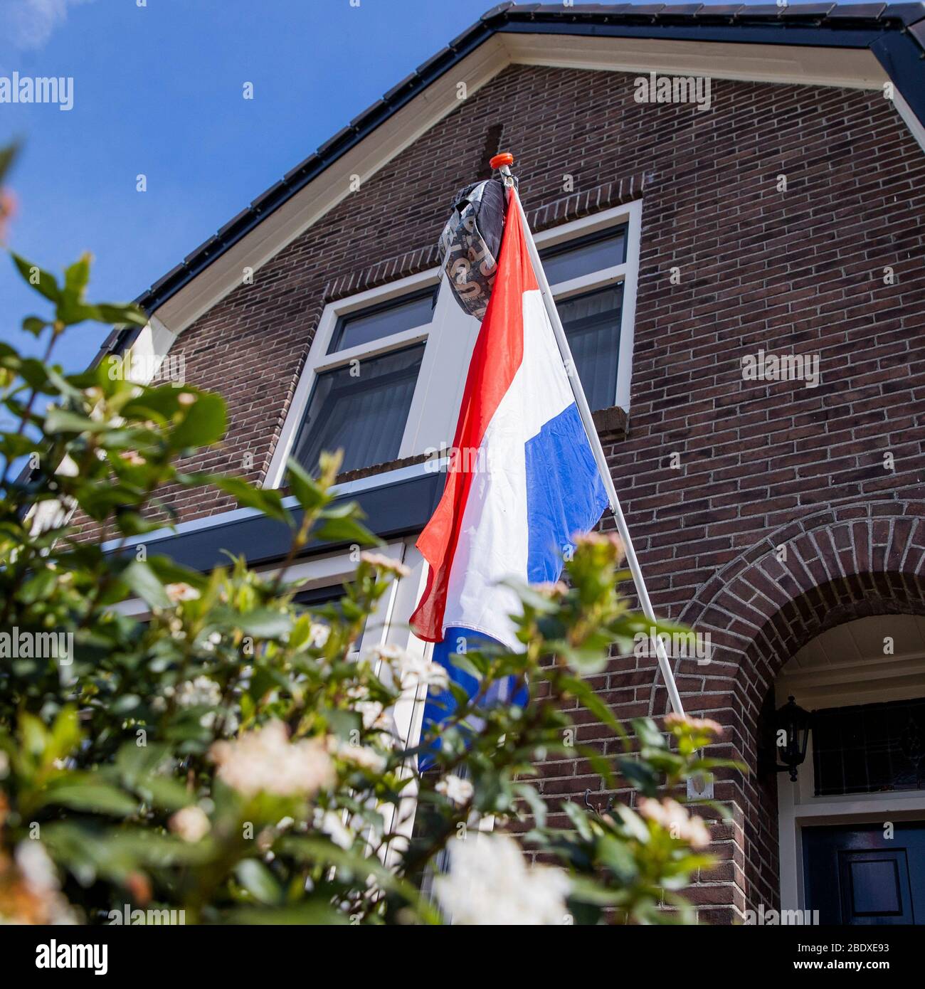 Netherlands flag graduation hi-res stock photography and images - Alamy