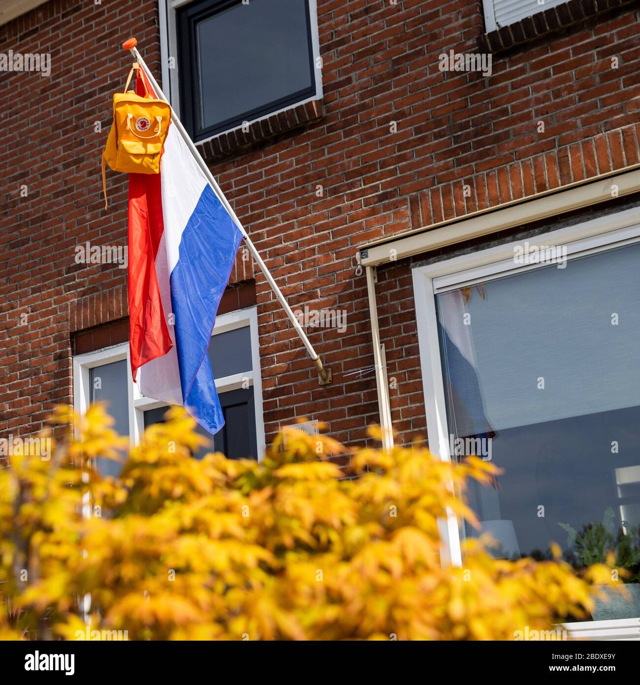 Netherlands flag graduation hi-res stock photography and images - Alamy