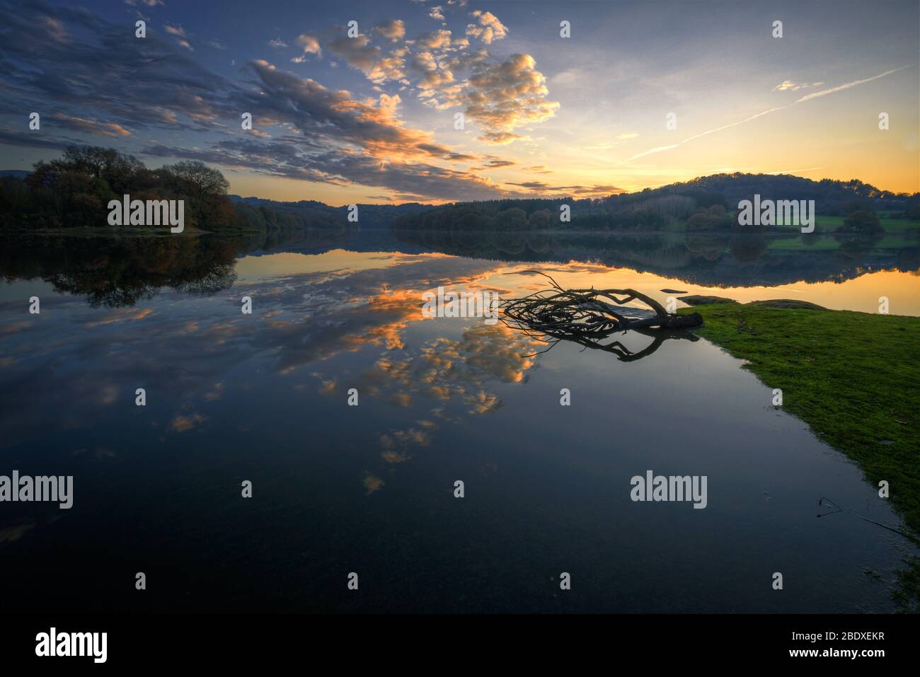 A Fallen Log on the Shore of a Quiet Lake Reflecting the Golden Clouds ...