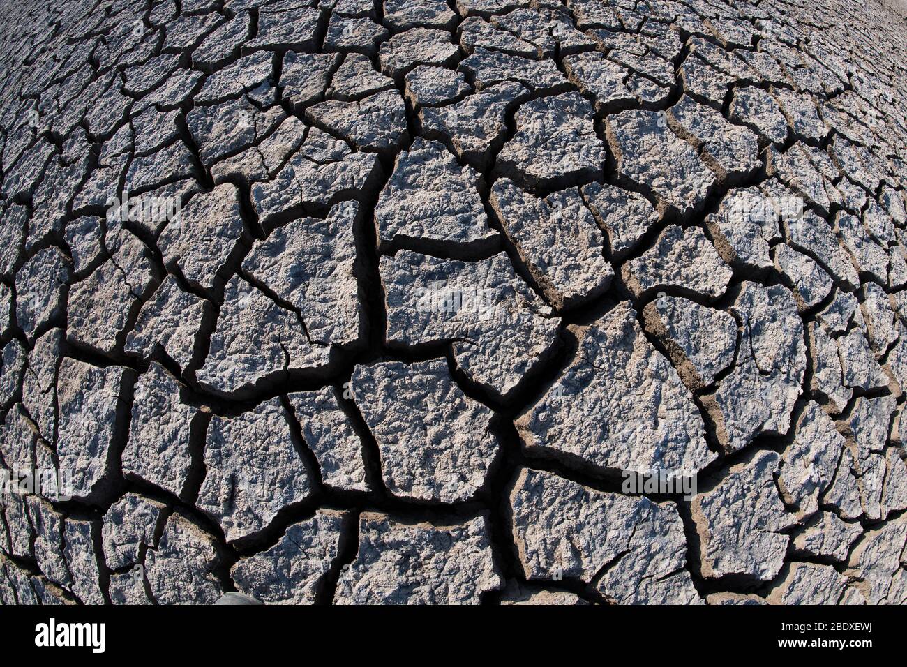 The image of Cracked Desert soil in Little Rann of Kutch in Gujarat ...