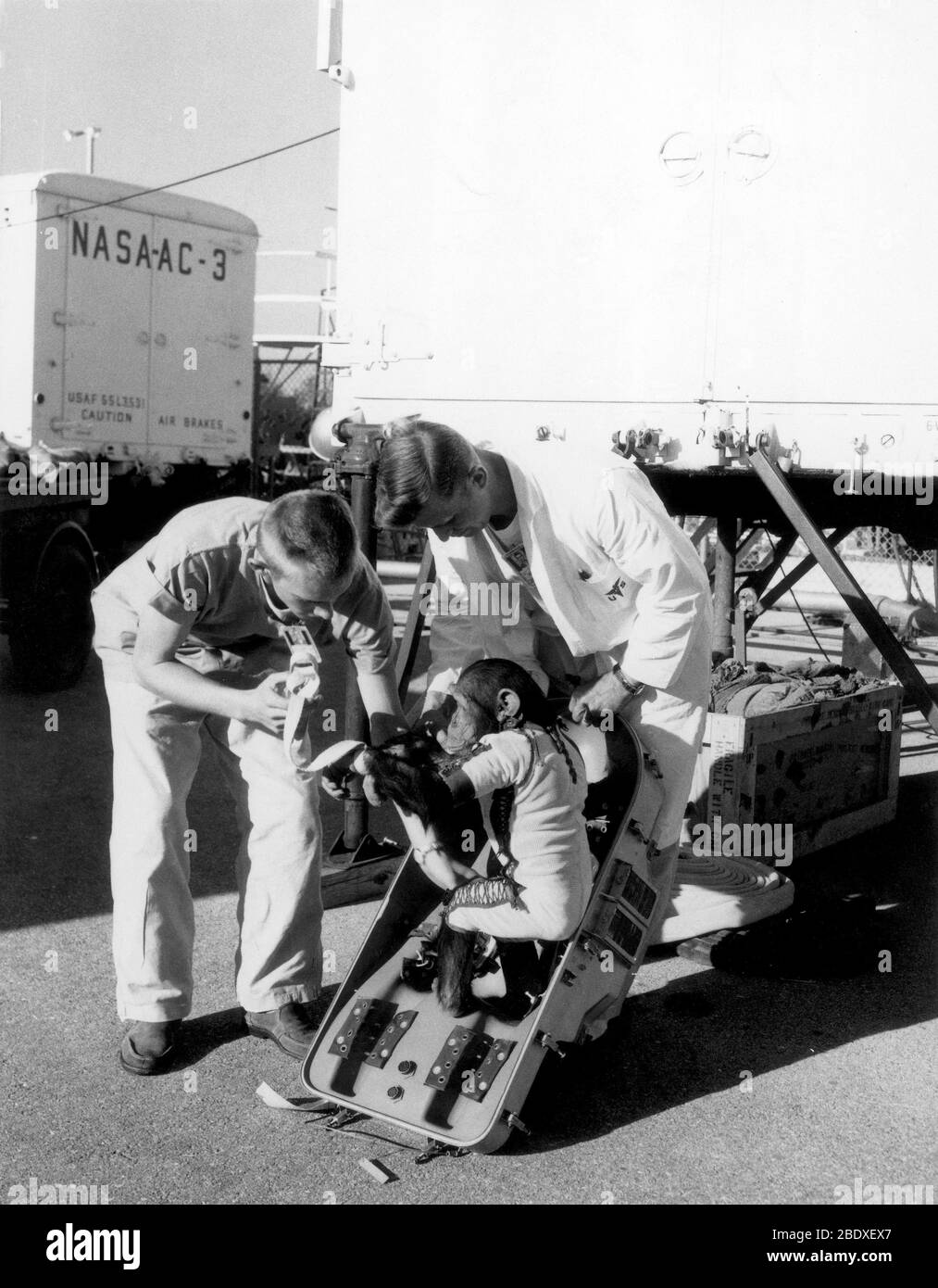 Animal training history Black and White Stock Photos & Images - Alamy