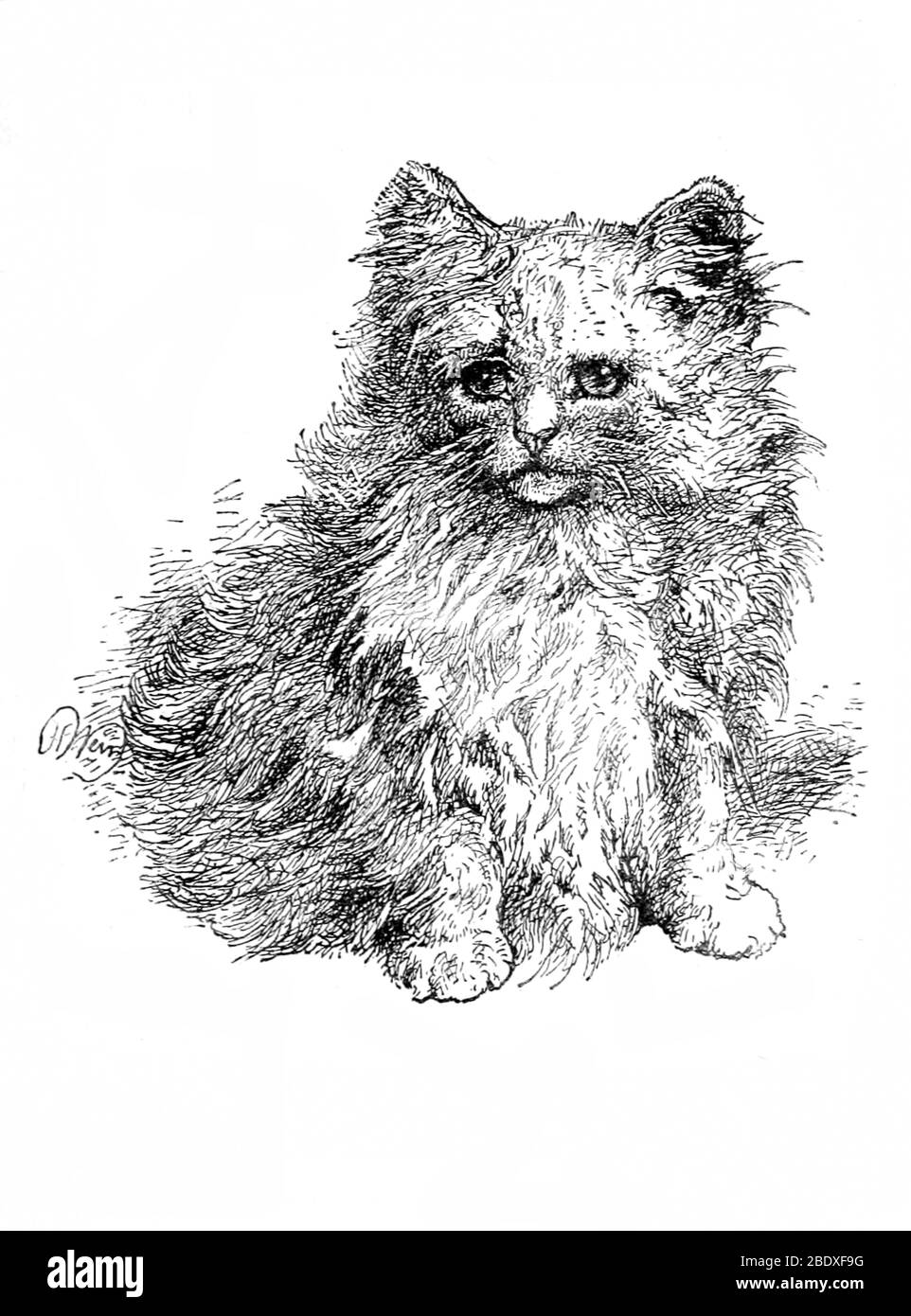 Persian history Cut Out Stock Images & Pictures - Alamy