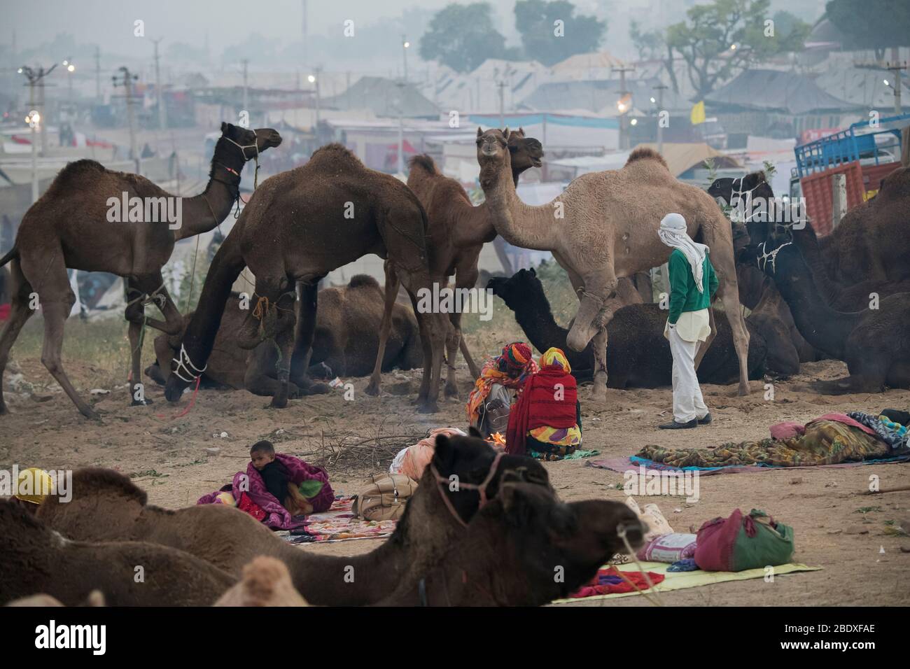 Animal fair hi-res stock photography and images - Alamy