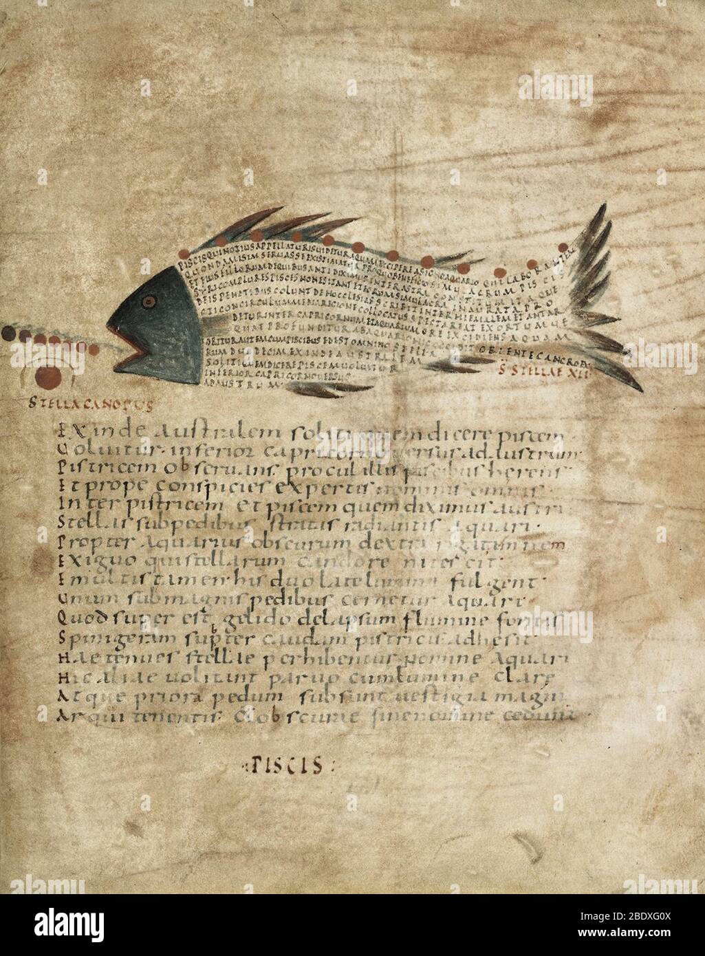 Piscis austrinus cobstellation hi-res stock photography and images - Alamy