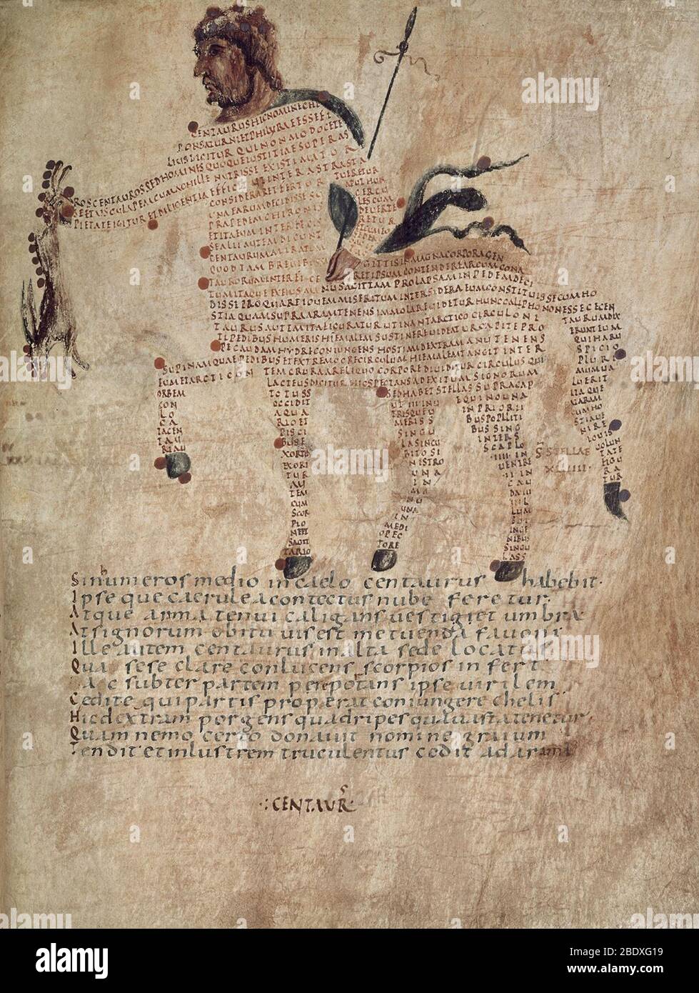 Aratea, Centaurus Constellation, 9th Century Stock Photo - Alamy