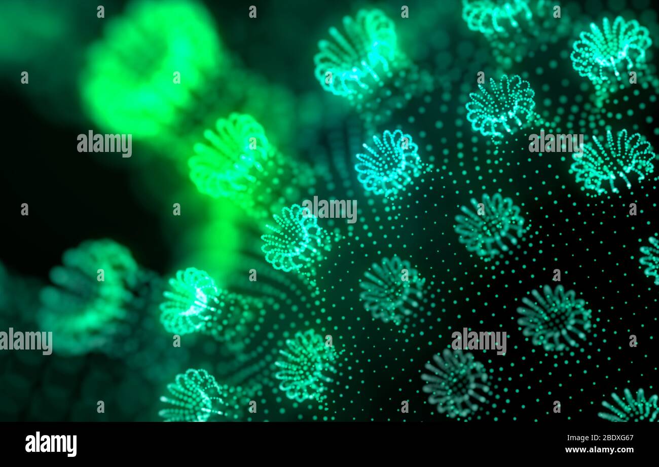 Microscopic view of Coronavirus, a pathogen that attacks the ...