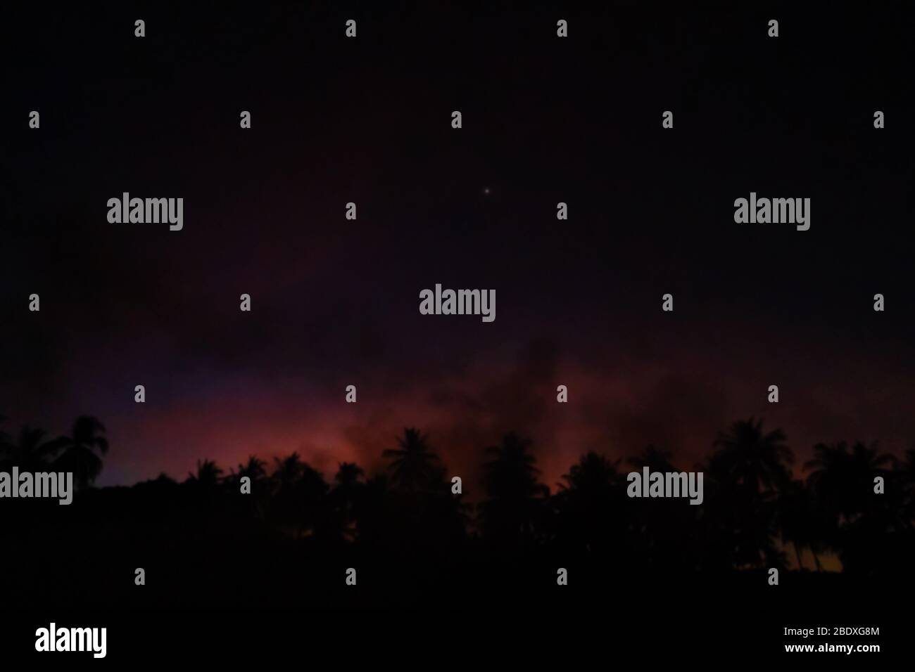 Smoke from a bonfire in a rainforest at sunset. Fires in the forest ...