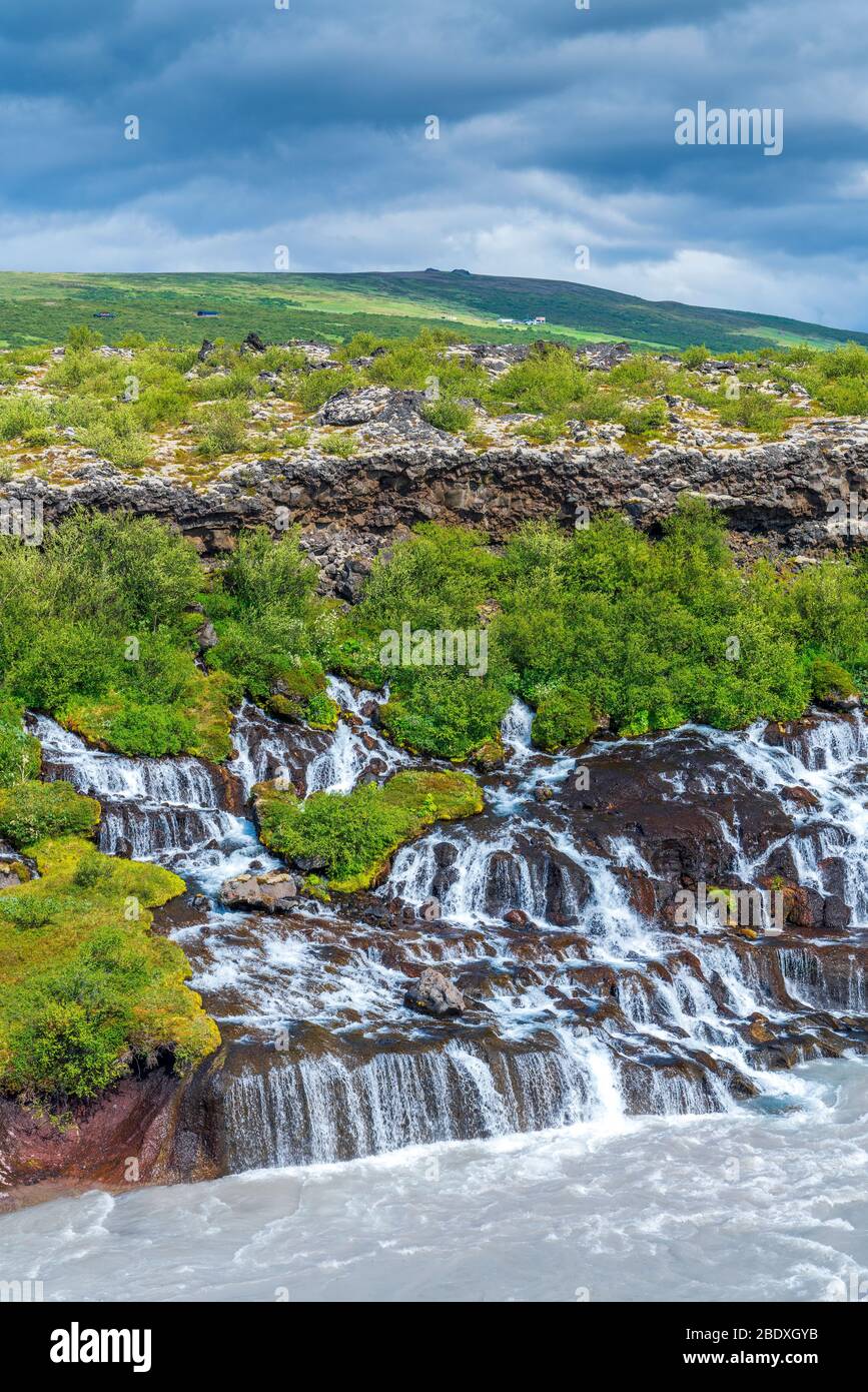 Hraunfossar, Reykholt, Iceland Stock Photo - Alamy
