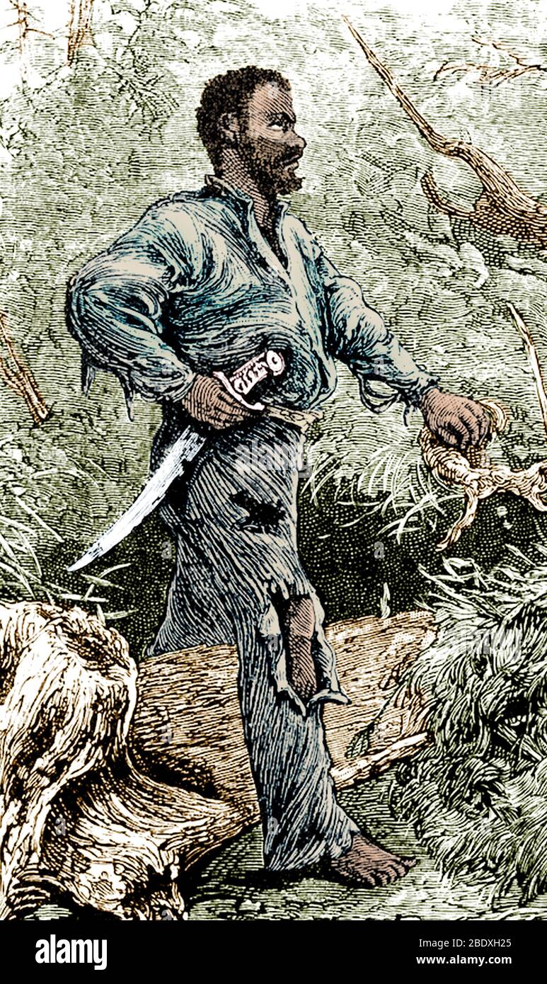 Nat turner rebellion hi-res stock photography and images - Alamy Nat turner rebellion hi-res stock photography and images - Alamy