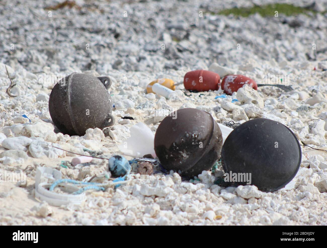 Marine waste hi-res stock photography and images - Alamy