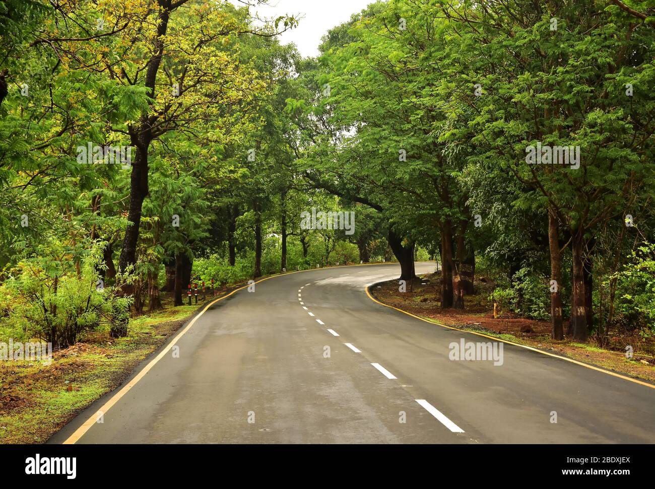 Beautiful Road - Endless Journey Stock Photo - Alamy