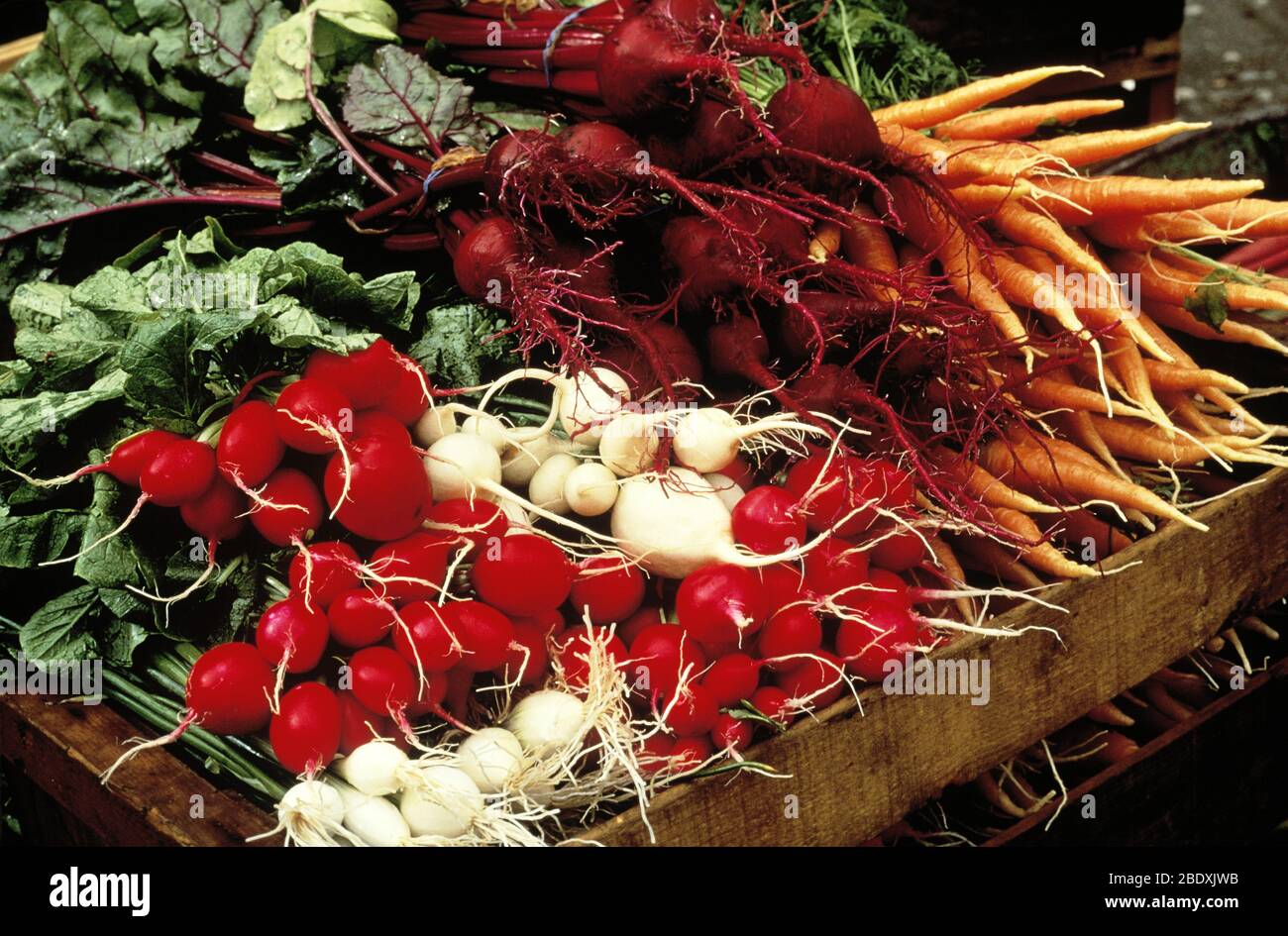 Matanuska susitna valley hi-res stock photography and images - Alamy