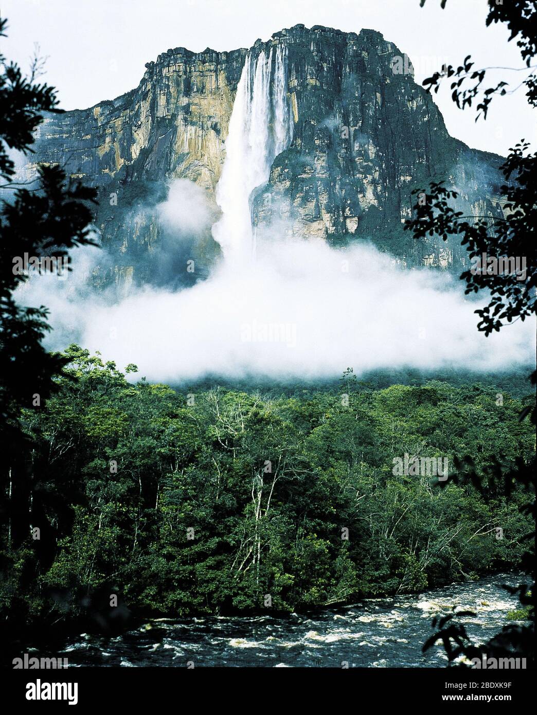 Trees erosion hi-res stock photography and images - Alamy
