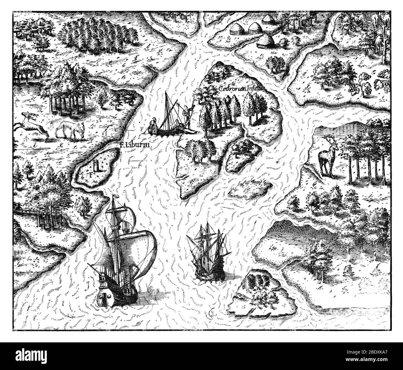 Jean ribault hi-res stock photography and images - Alamy