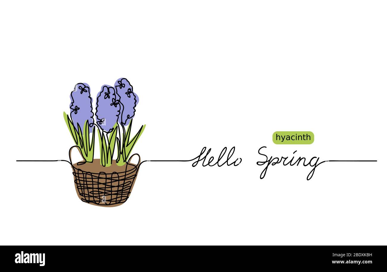Hello Spring web banner, background,greeting. Hyacinth vector sketch ...