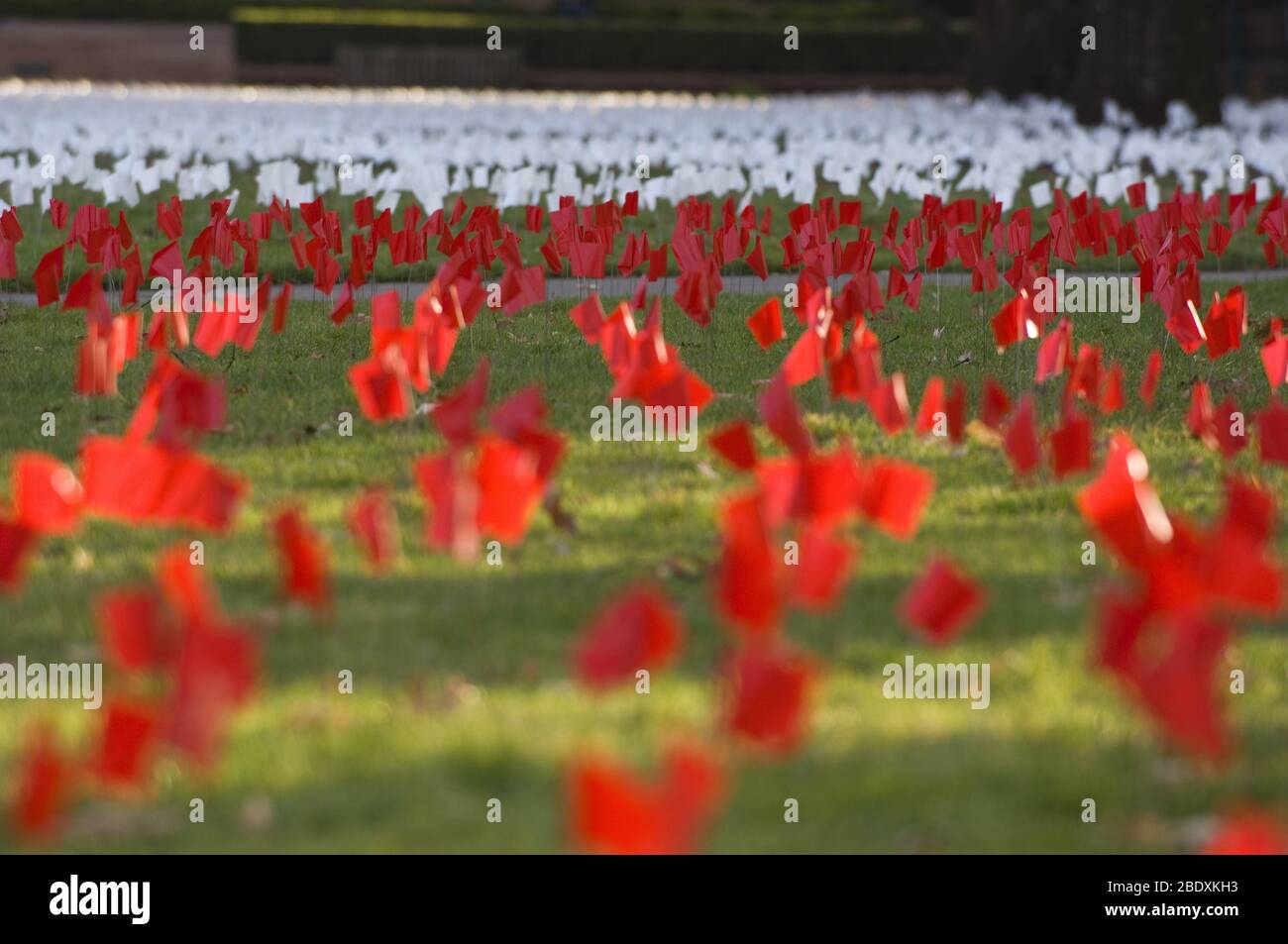 Iraq Body Count Memorial Stock Photo - Alamy