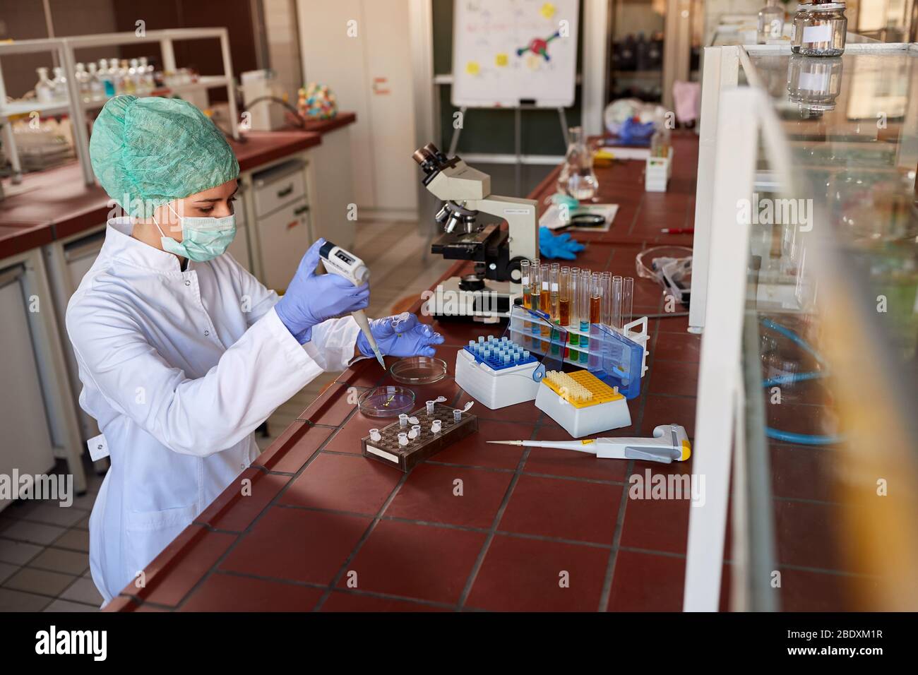 Lab technician examining blood sample in laboratory Stock Photo - Alamy
