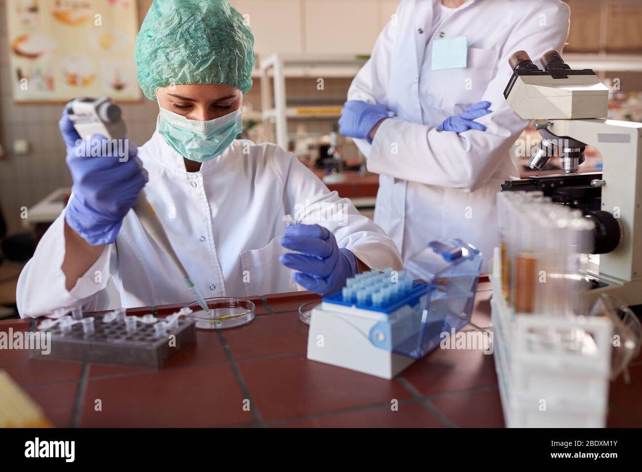 Lab technician with pipette taking sample of blood for testing on cov ...