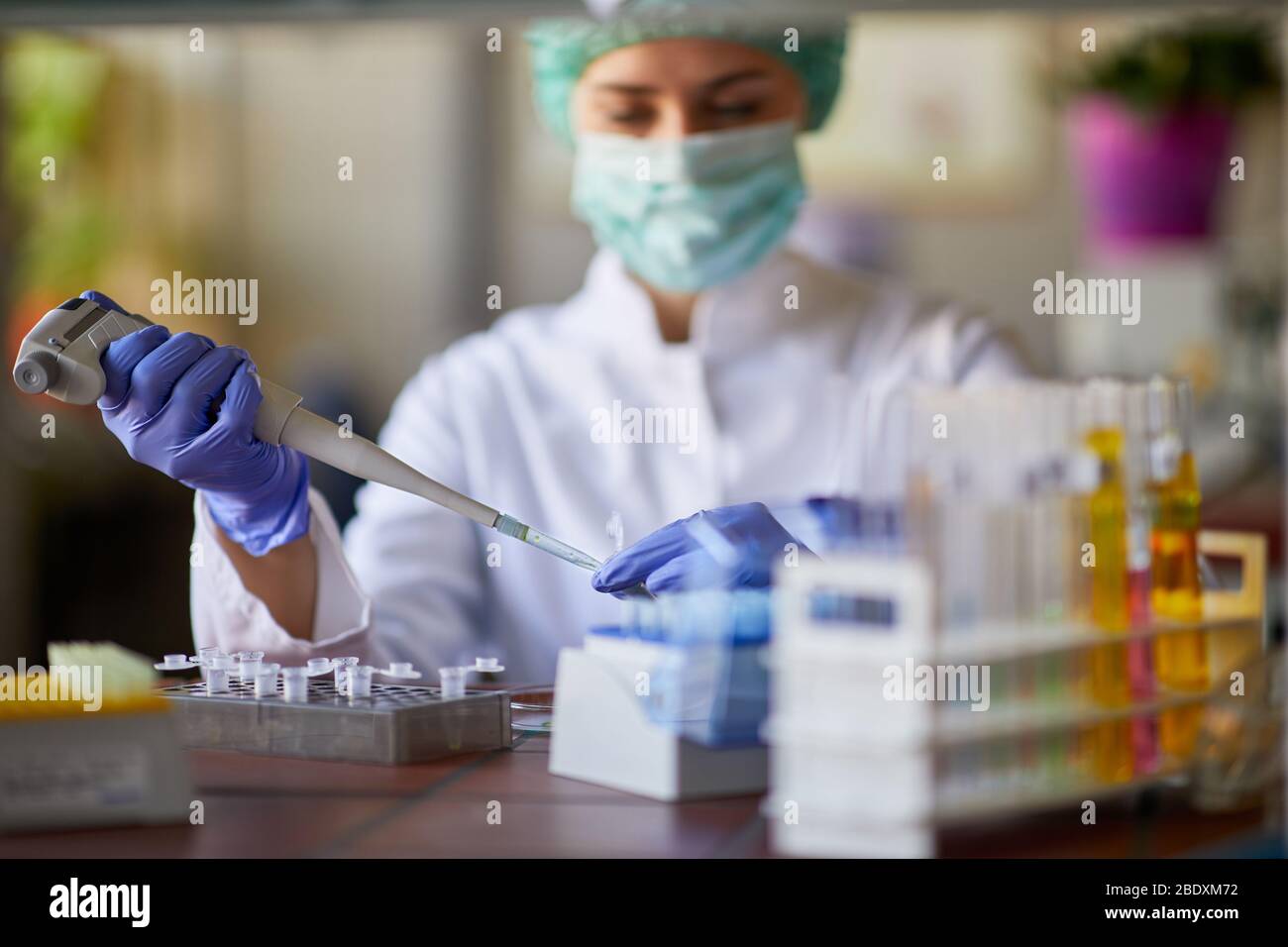 Lab worker using pipette droper for lab research Stock Photo - Alamy