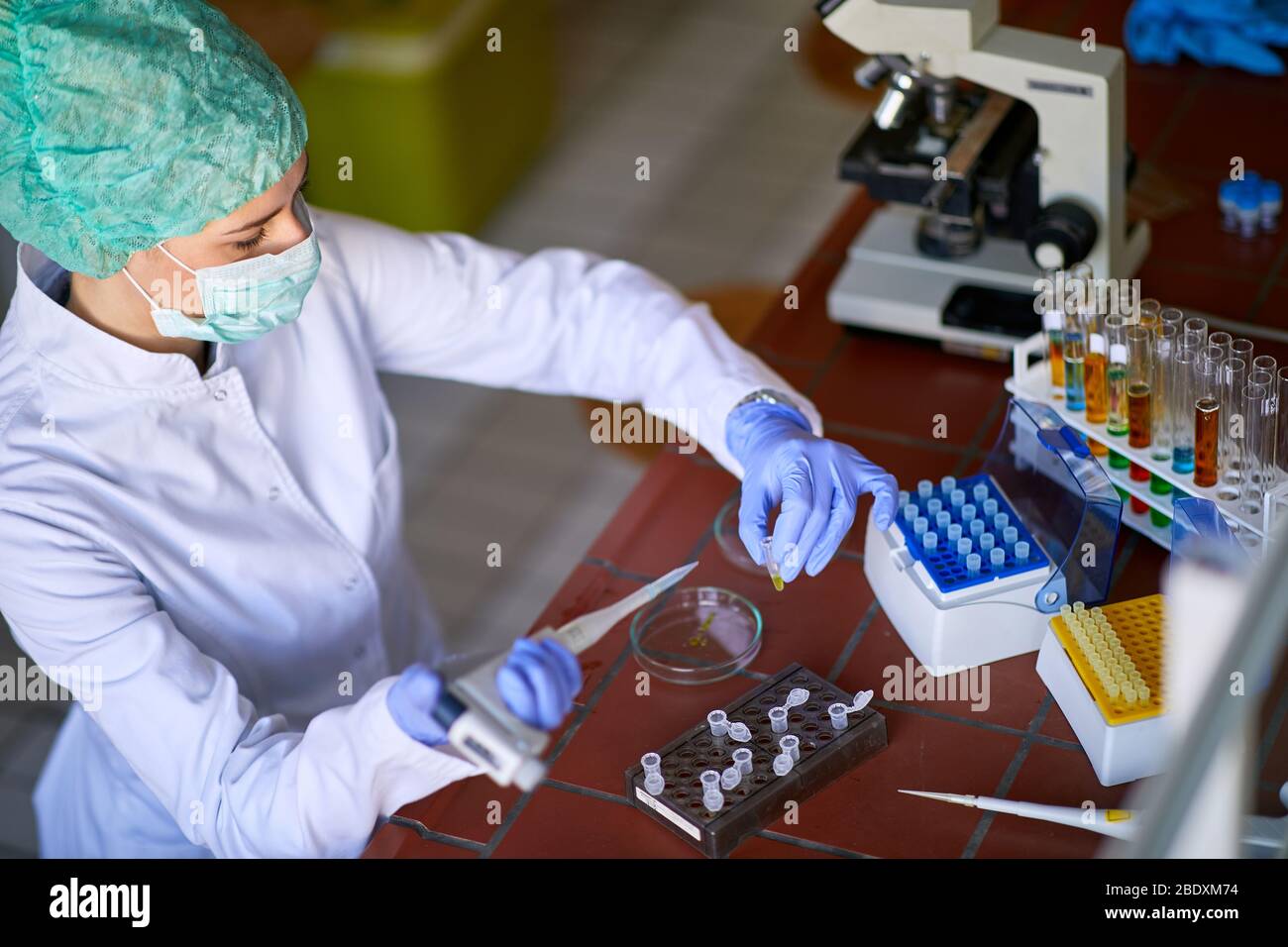 Lab worker female doing analysis in biochemical laboratory Stock Photo ...
