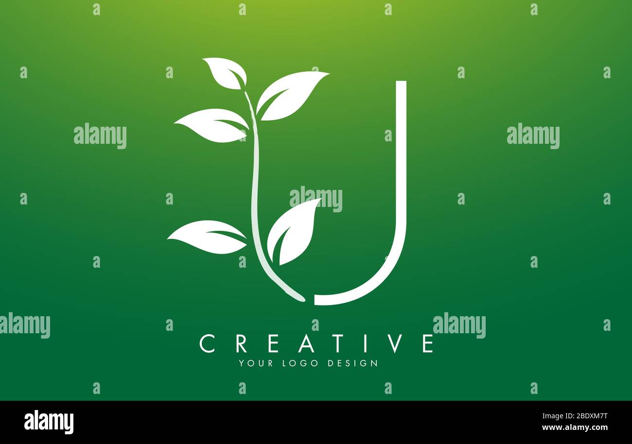 White Leaf Letter U Logo Design with Leaves on a Branch and Green ...