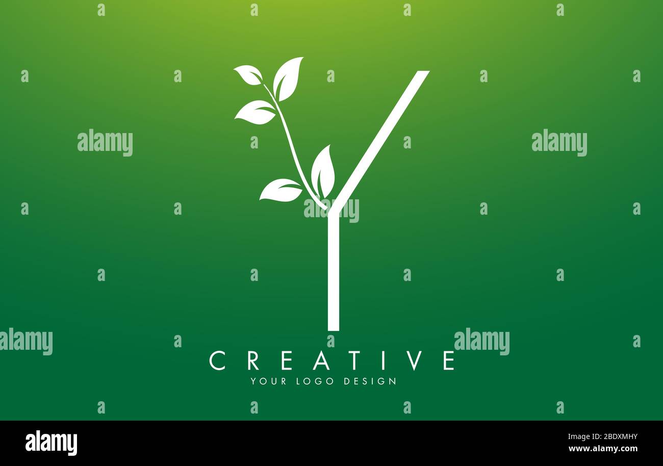 White Leaf Letter Y Logo Design with Leaves on a Branch and Green ...