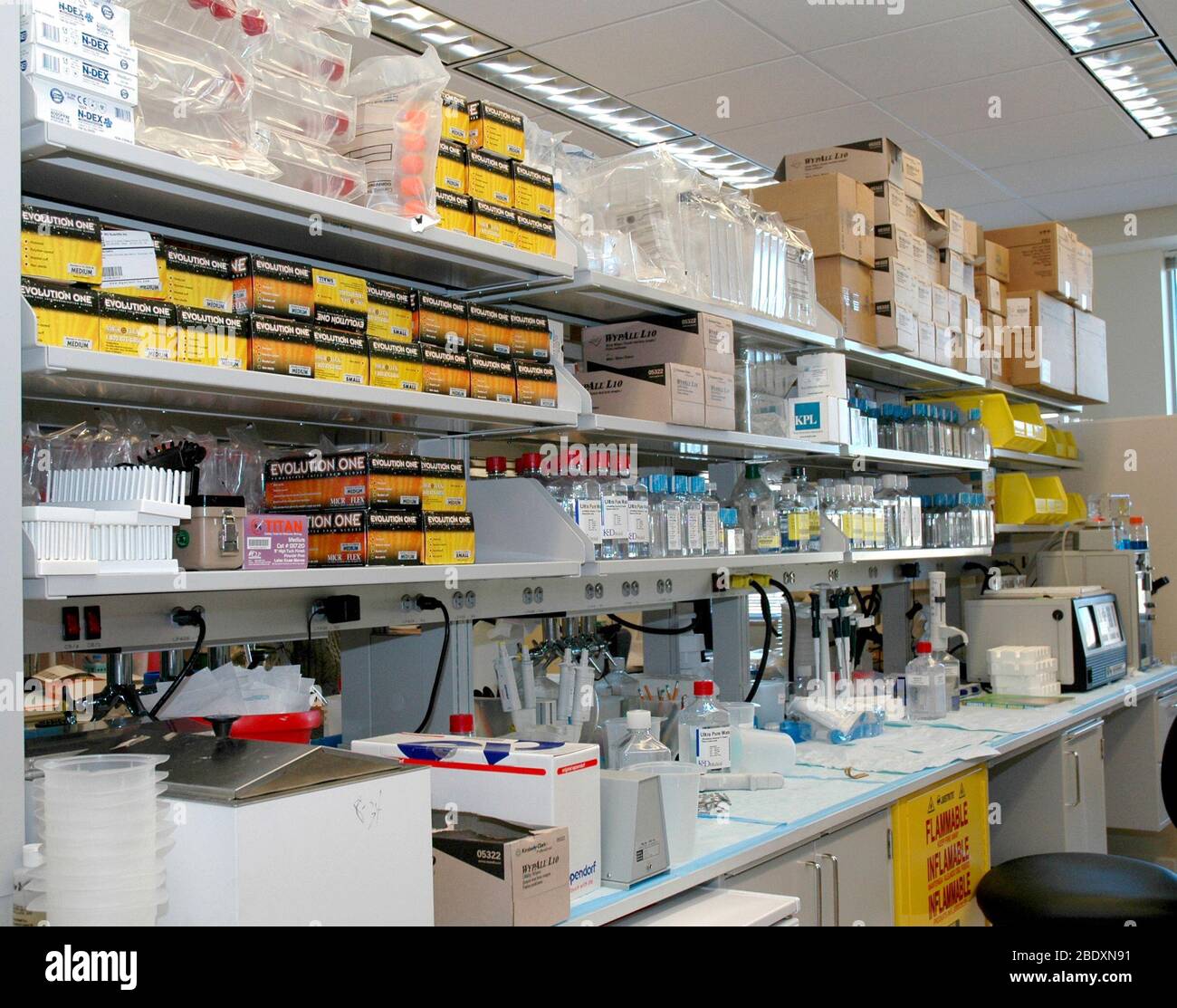 Cancer research lab hi-res stock photography and images - Alamy