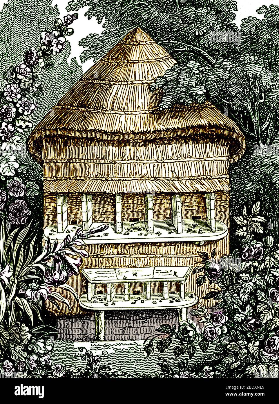 Apiary, Hives for Honey Bees, 1827 Stock Photo - Alamy