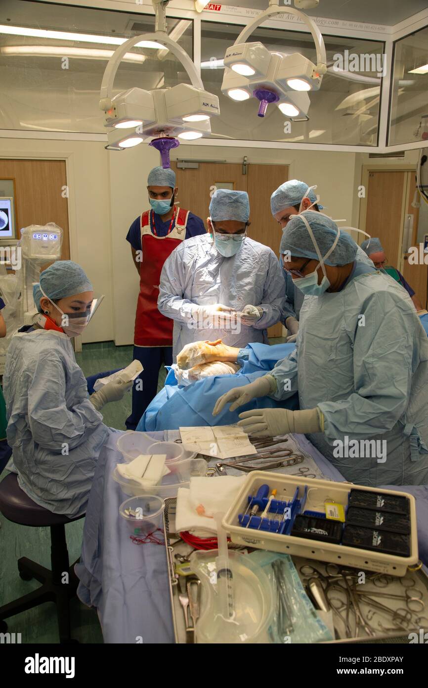 Surgeons and technicians insert a metal plate into the ankle area of a ...