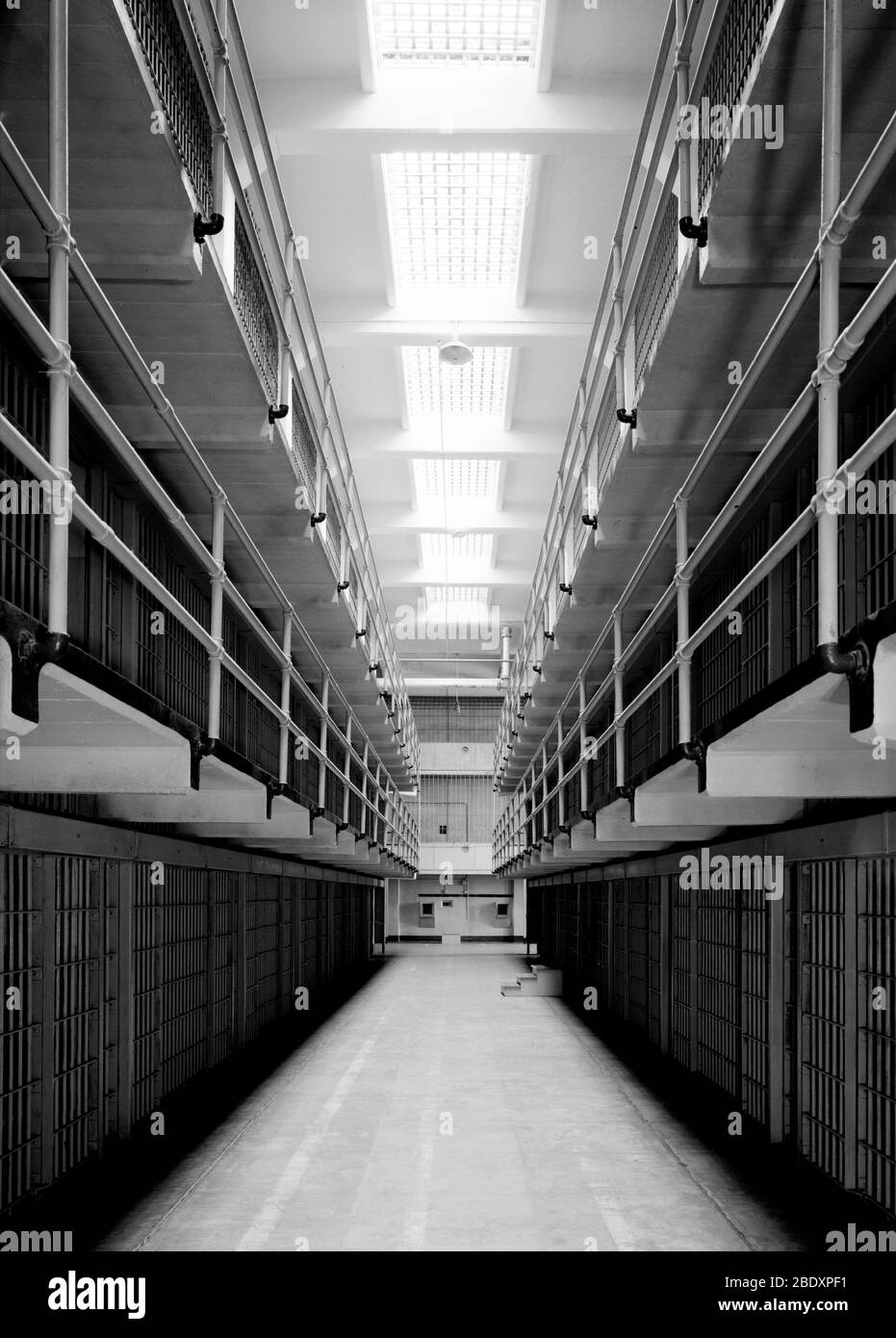 B cell hi-res stock photography and images - Alamy