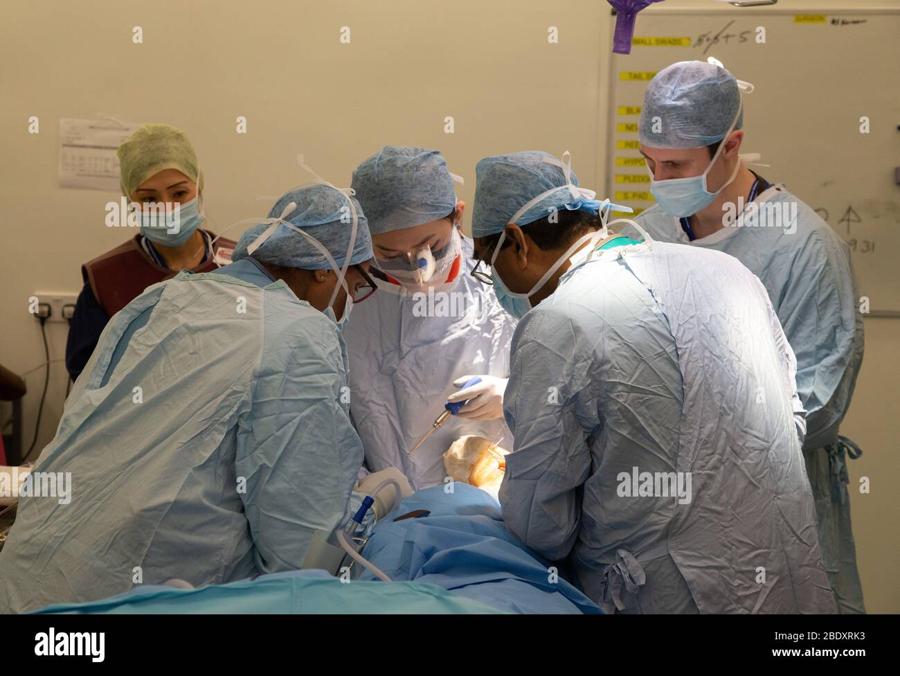 NHS surgeons and nurses perform surgery in an NHS Hospital.The ...