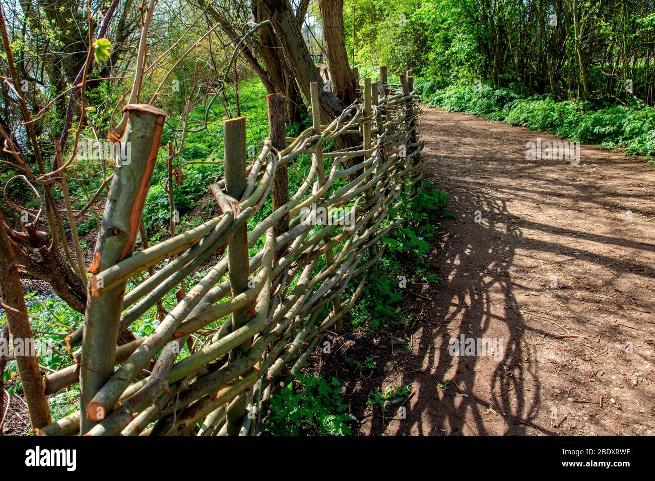 Willow hurdle hi-res stock photography and images - Alamy