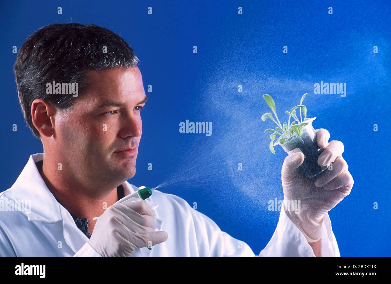 Biological pest control hi-res stock photography and images - Alamy