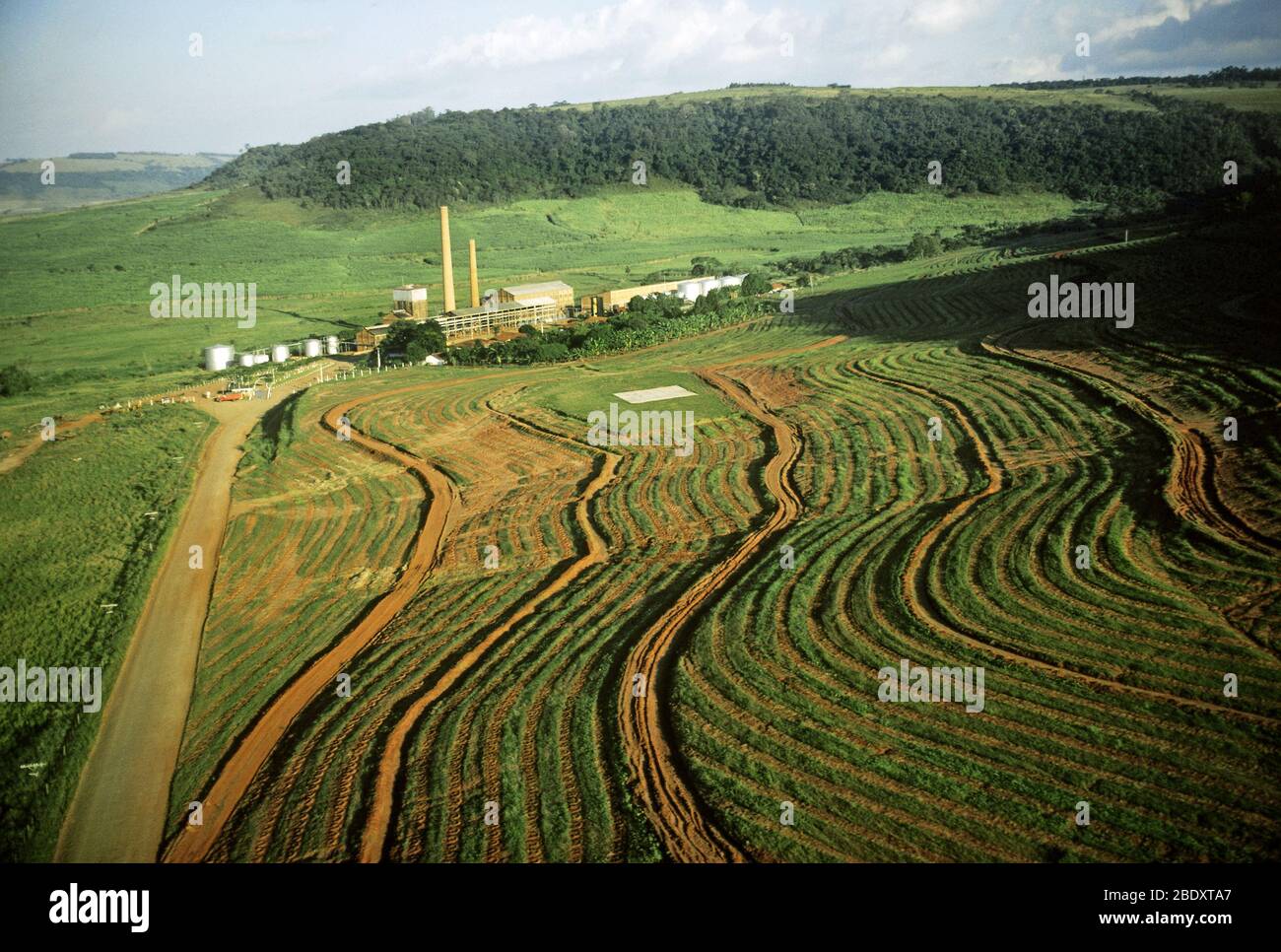 Processing factory agriculture hi-res stock photography and images - Alamy